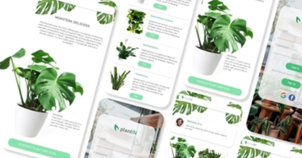PlantIn App Review: Best Planting App? [2024] - ViralTalky