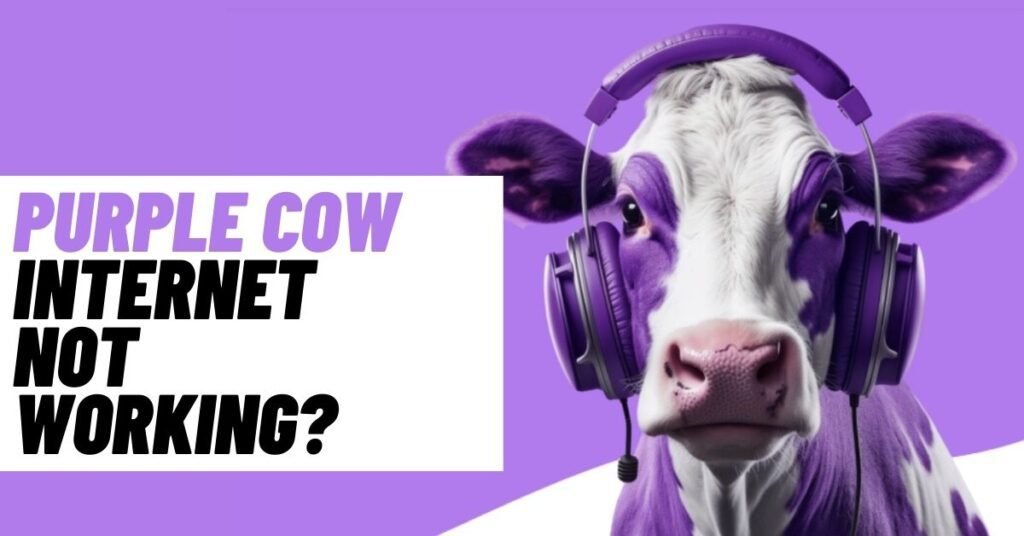 Purple Cow Internet Not Working? Fix It Now [2024] - ViralTalky