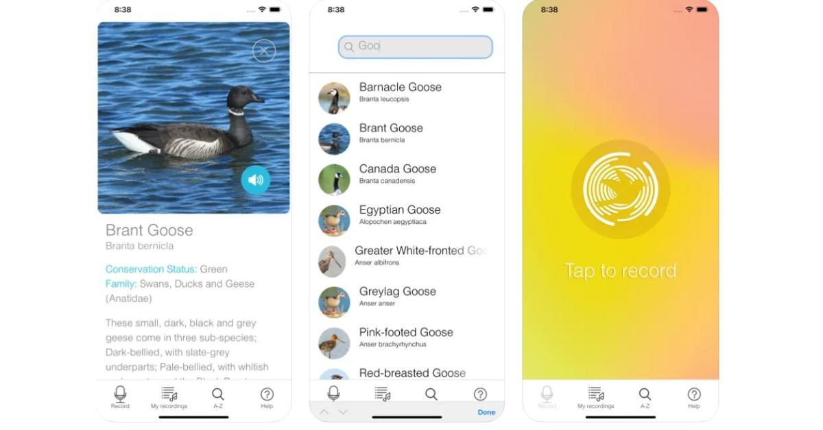 Warblr App Review: Everything You Need to Know! [2024] - ViralTalky