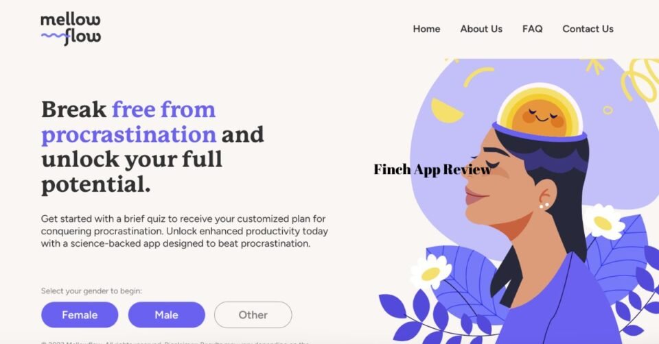 Mellow Flow App Review: Everything You Need to Know [2024] - ViralTalky